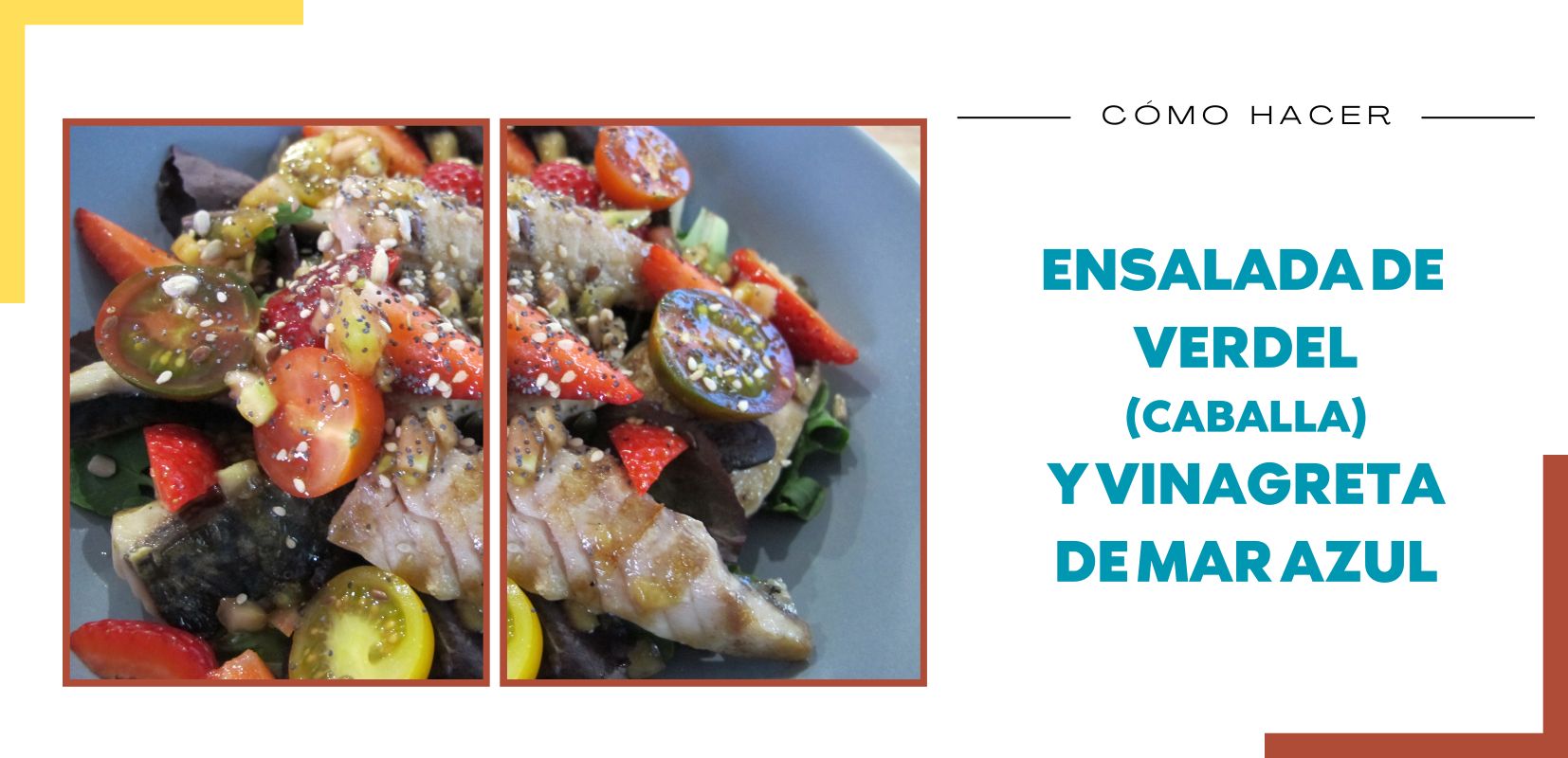 Ensalada de verdel - Revista Mar